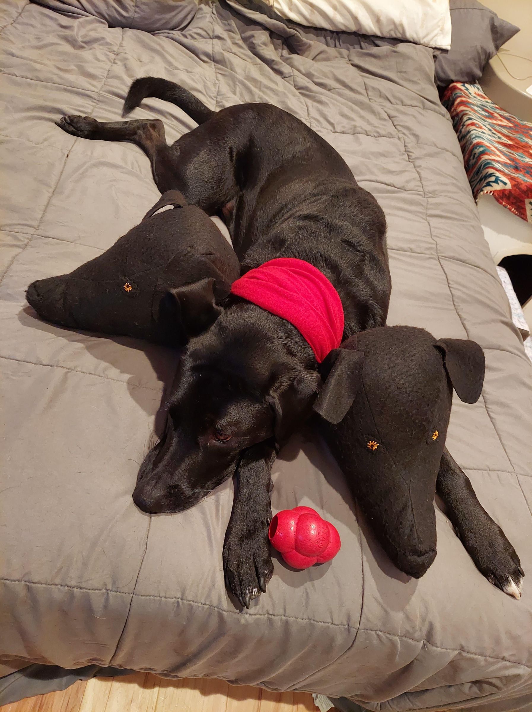 Cerberus Dog Costume : 8 Steps (with Pictures) - Instructables