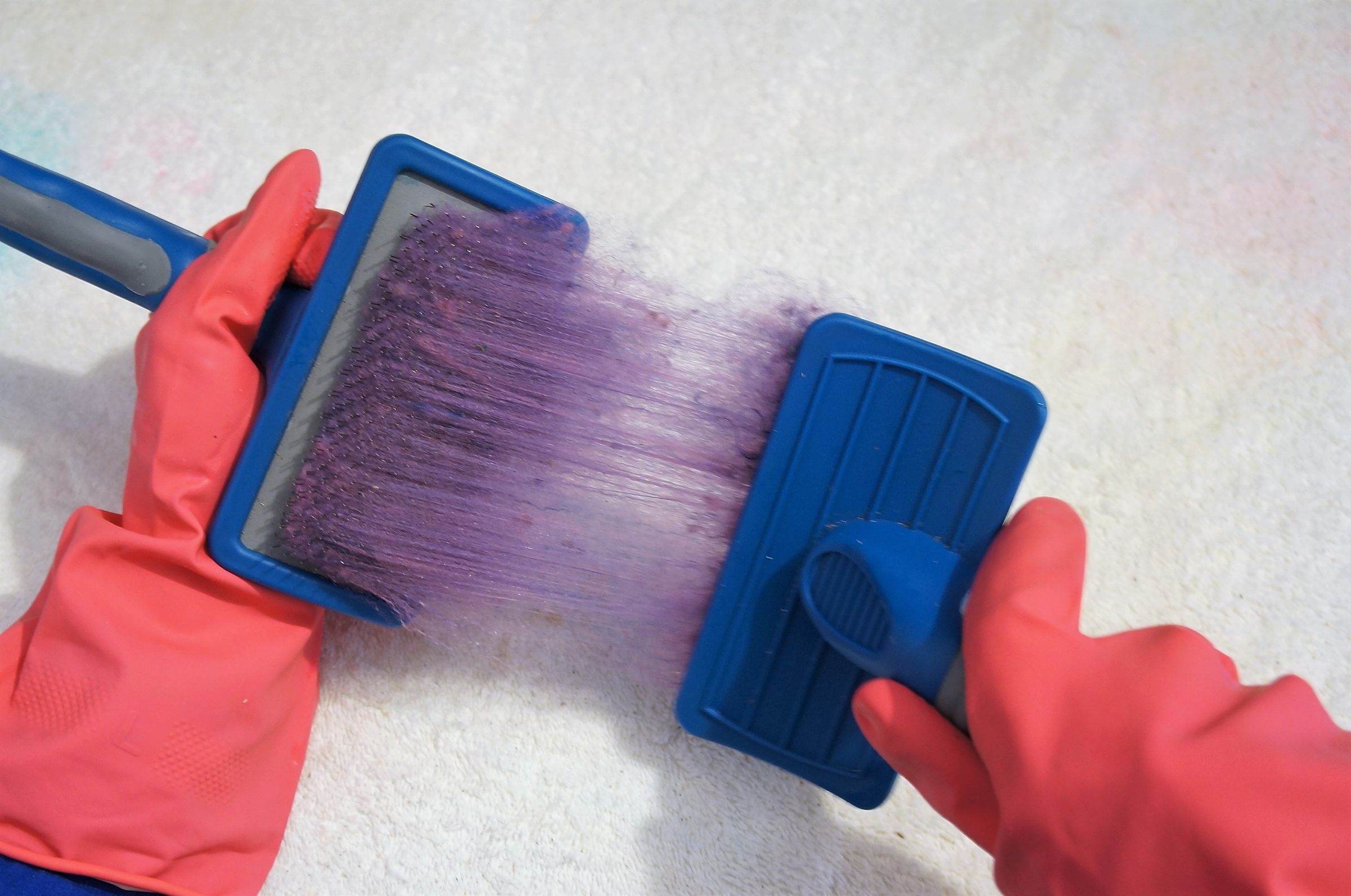 How to Process Card and Dye Raw Wool : 12 Steps (with Pictures ...