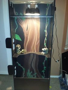 Turning a Bookshelf Into a Lizard Habitat. : 4 Steps (with Pictures ...