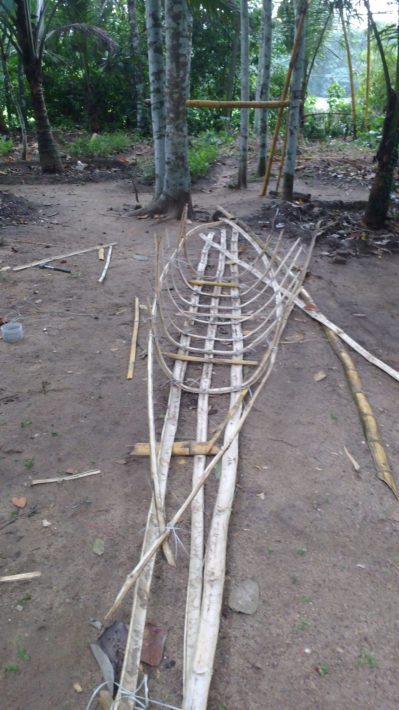 Bamboo Canoe : 6 Steps (with Pictures) - Instructables