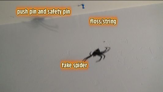 How to Pull Off the Spider Over the Door Prank! - Instructables