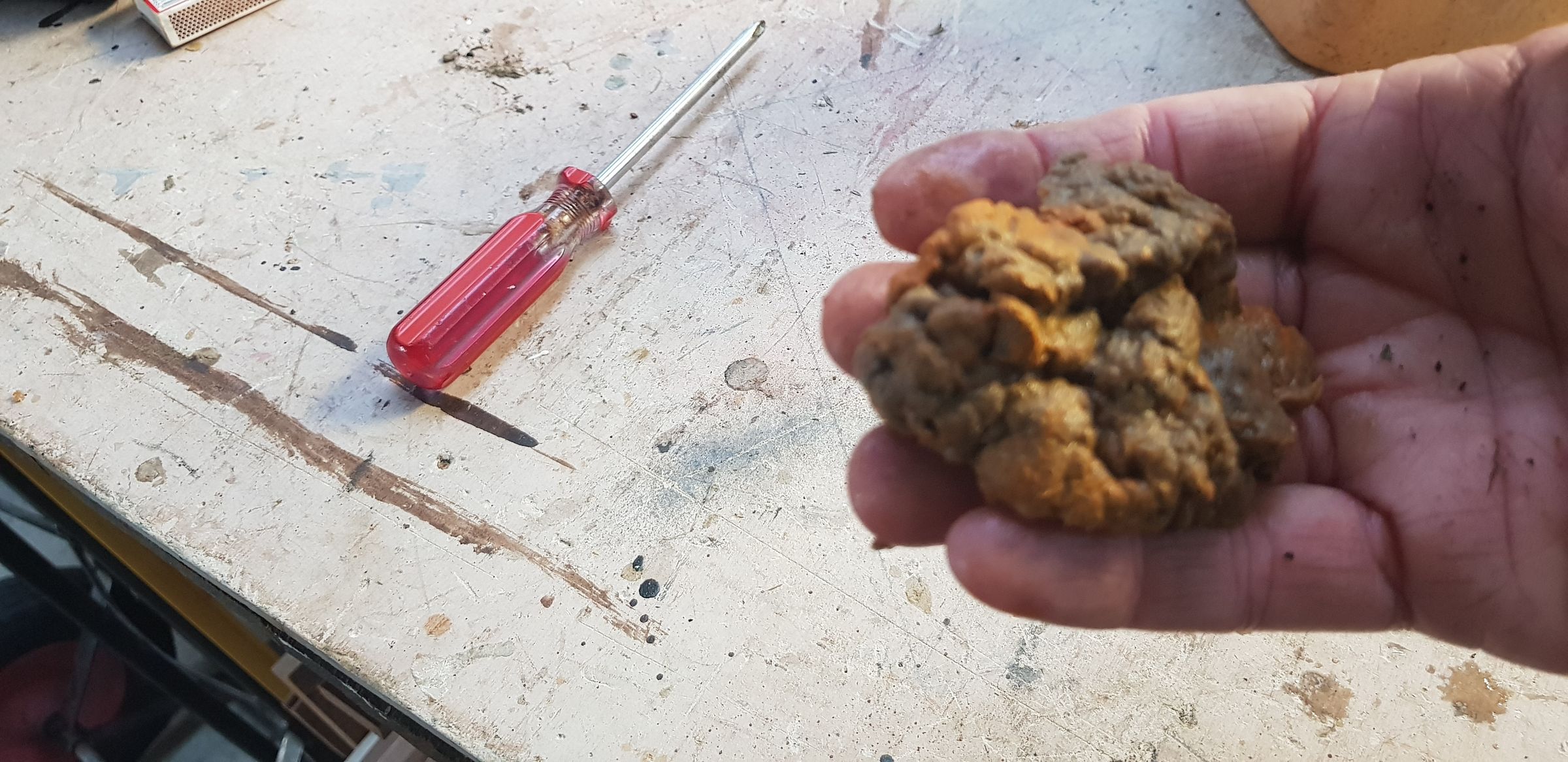 There's Poo on Your Shoe : 5 Steps (with Pictures) - Instructables