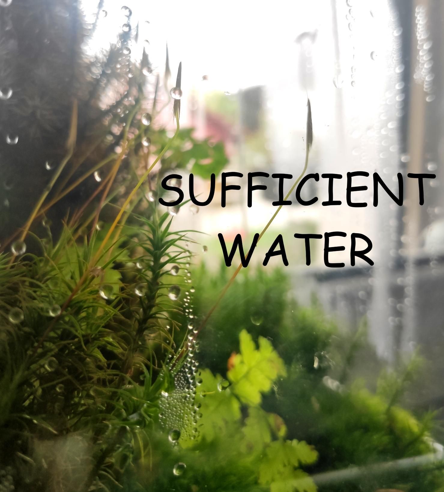 The Eco-Crystal - Mini Ecosystem in a Crystal Shaped Planter : 7 Steps ...