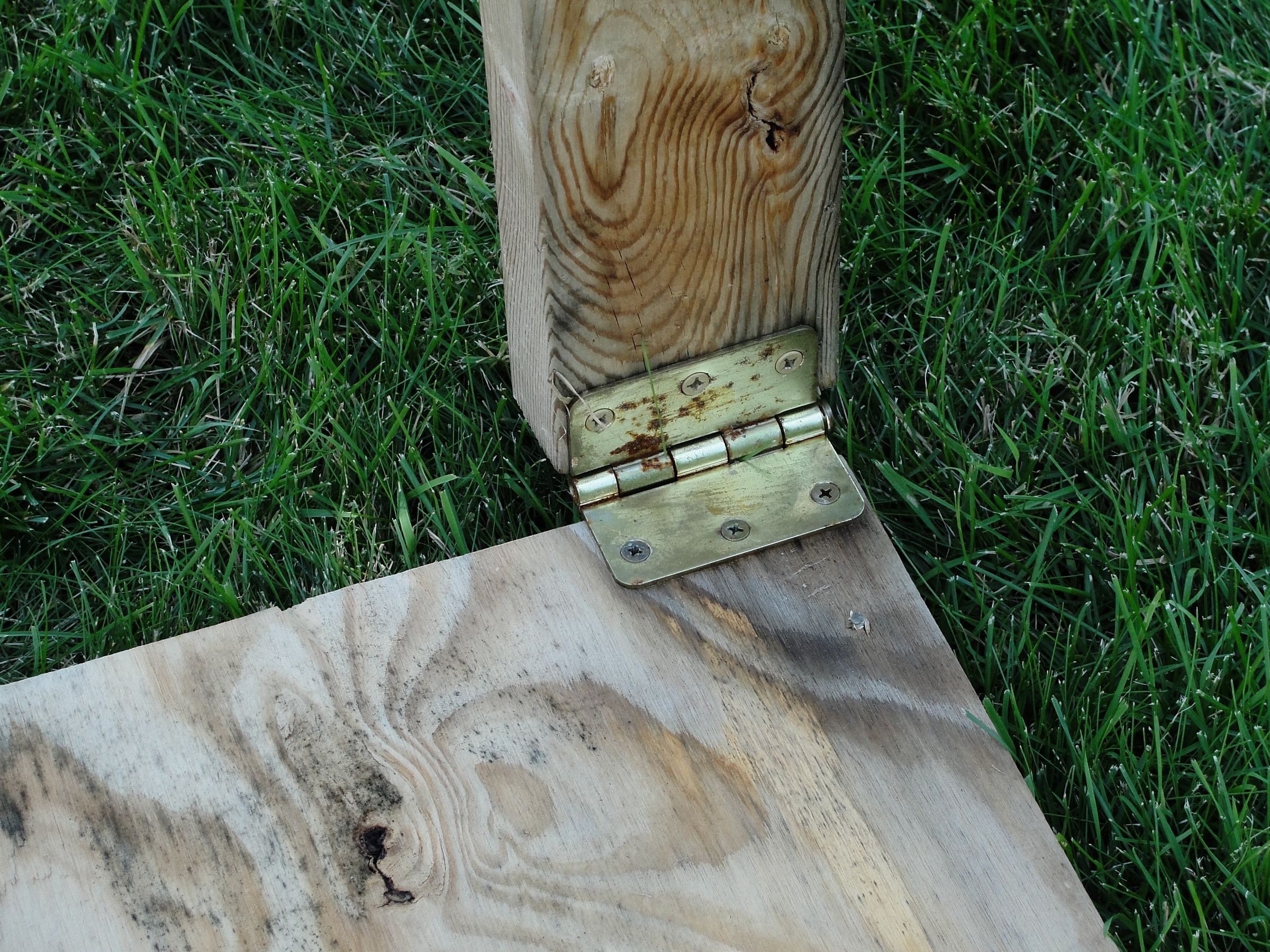 Pond-Jumping Ramp : 6 Steps (with Pictures) - Instructables