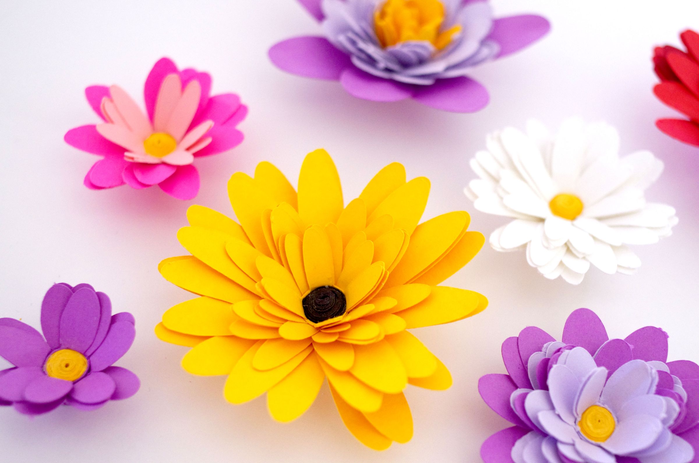 Quilling Flowers : 7 Steps (with Pictures) - Instructables