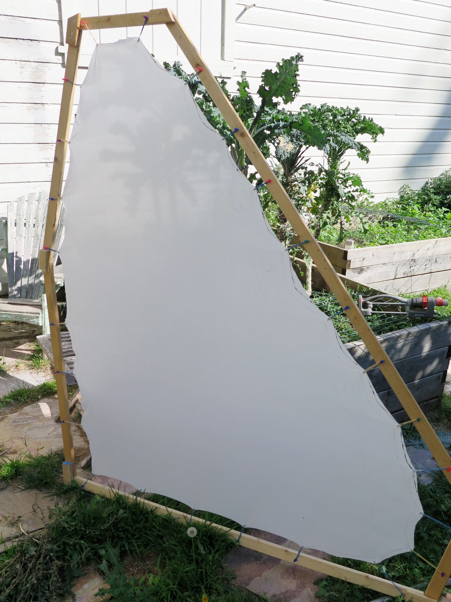 DIY Butterfly Wings : 18 Steps (with Pictures) - Instructables