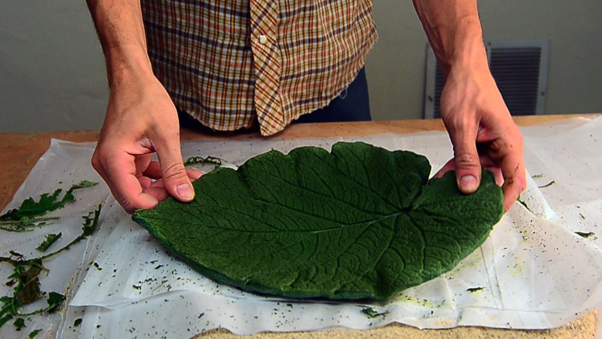 Shape Your Own : Decorative Concrete Leaf : 5 Steps - Instructables