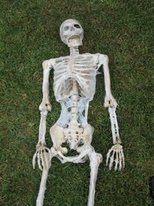 How to Corpse a Skeleton (The Quick and Dirty Way That DOES NOT Involve ...