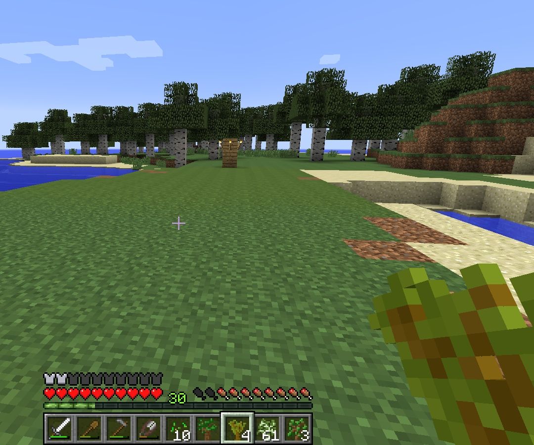 Farming in Minecraft : 10 Steps (with Pictures) - Instructables