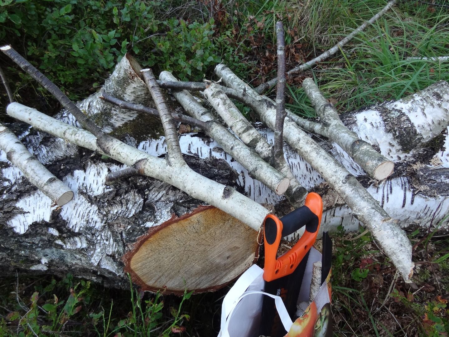 Make a Branch Shelf : 9 Steps (with Pictures) - Instructables