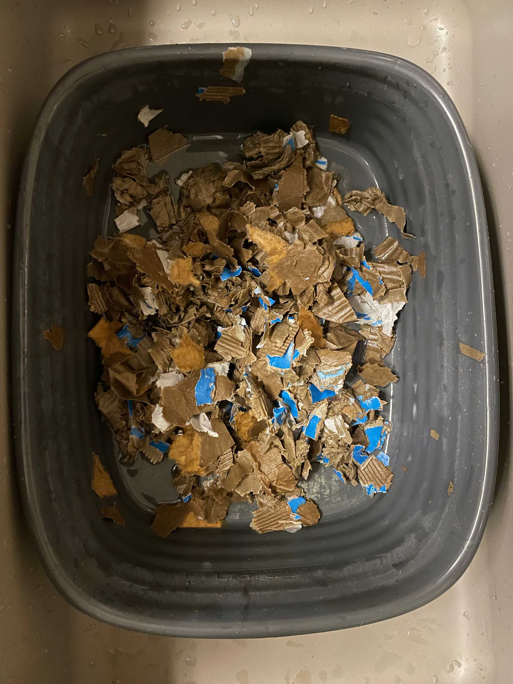 Seed Paper From Used Cardboard Boxes : 8 Steps (with Pictures ...