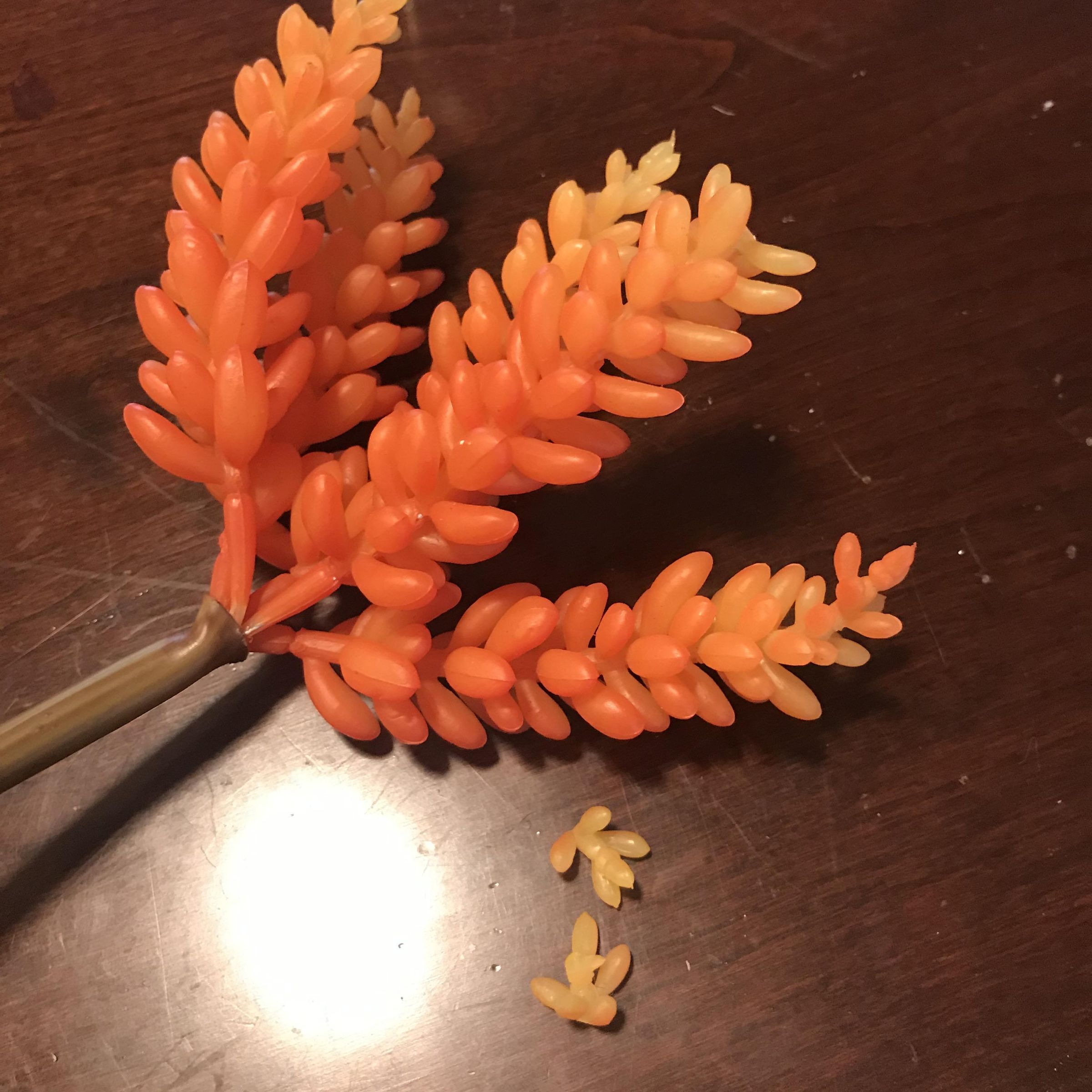 Easy DIY Desk Waterfall Fountain : 6 Steps (with Pictures) - Instructables