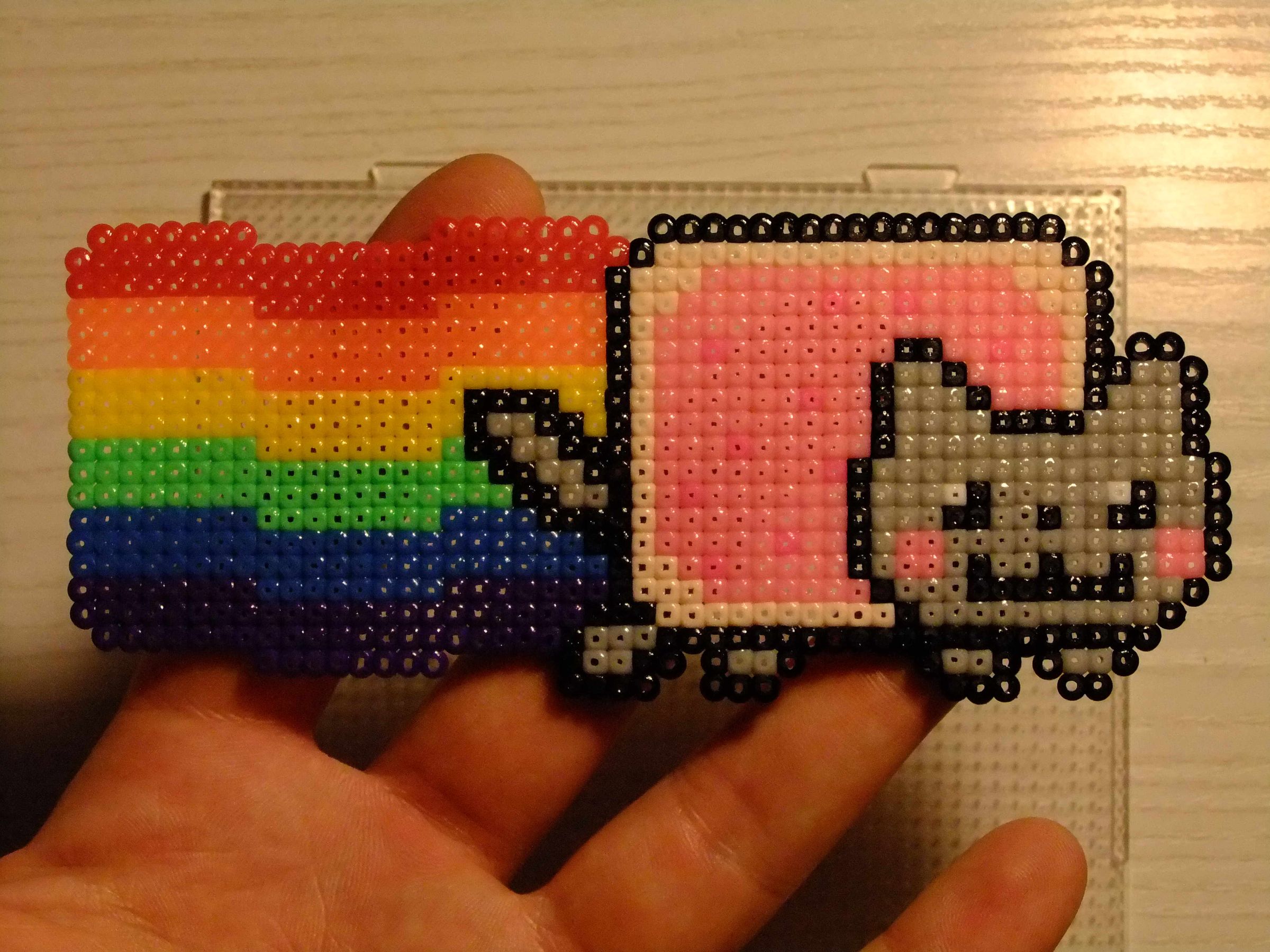 Nyan Cat In Real Life