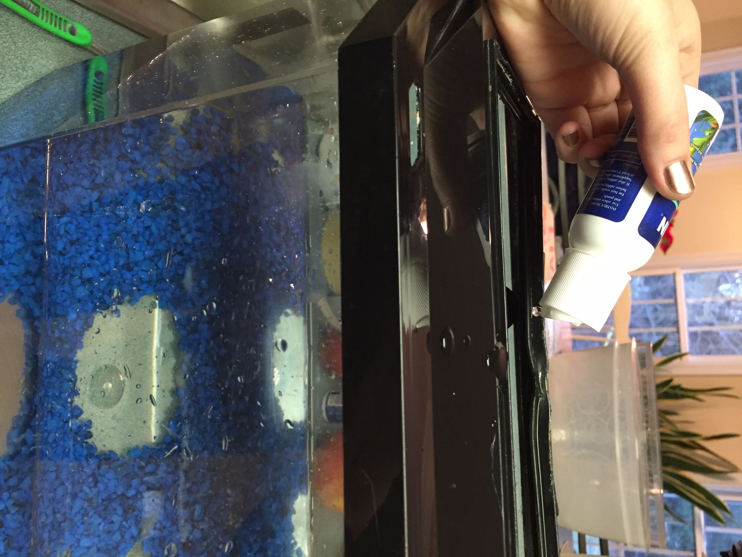 How to Clean Your Small Fish Tank : 7 Steps (with Pictures) - Instructables