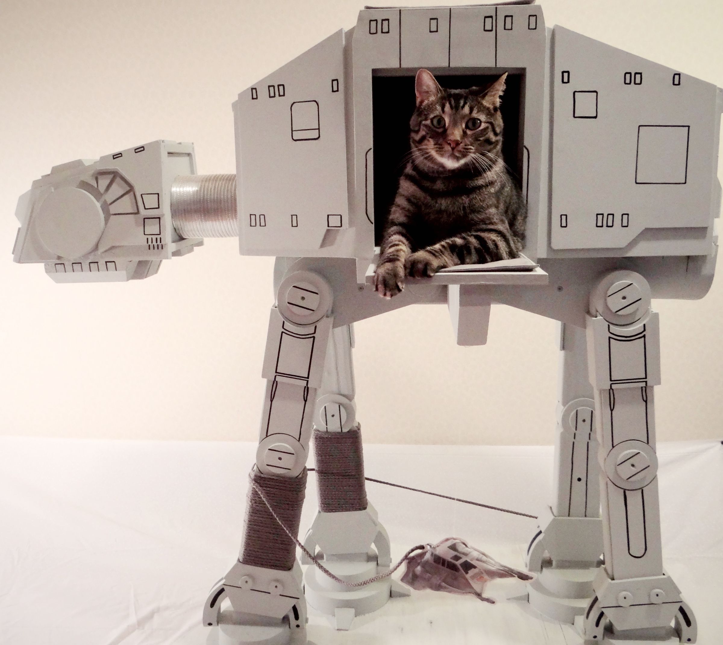 CAT-CAT : 13 Steps (with Pictures) - Instructables