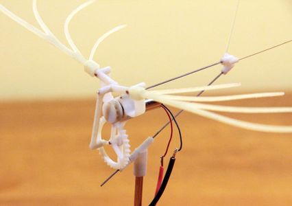 Mini-Ornithopter Prototypes : 4 Steps (with Pictures) - Instructables