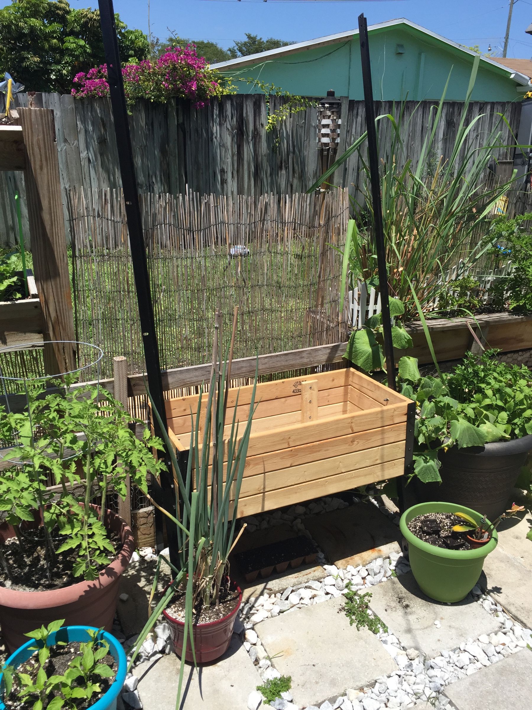 My $10 Reclaimed Climbing Vine Planter Box! : 3 Steps (with Pictures ...