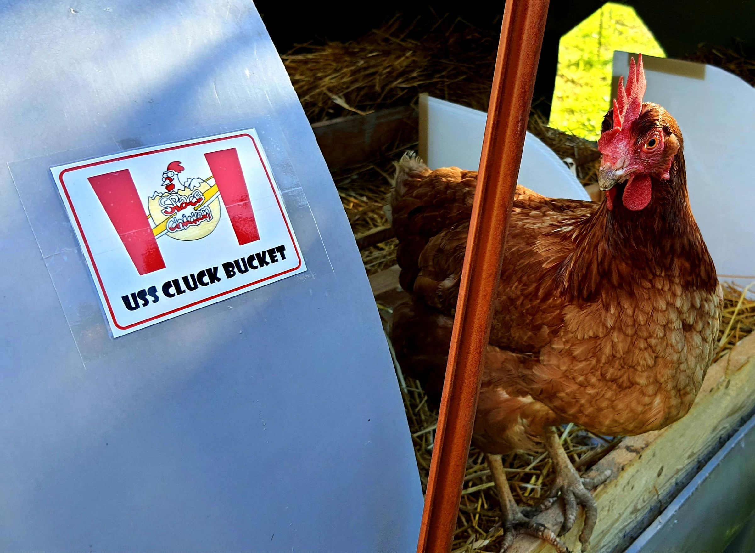 Space Chicken Spaceship Chicken Coop : 12 Steps (with Pictures ...