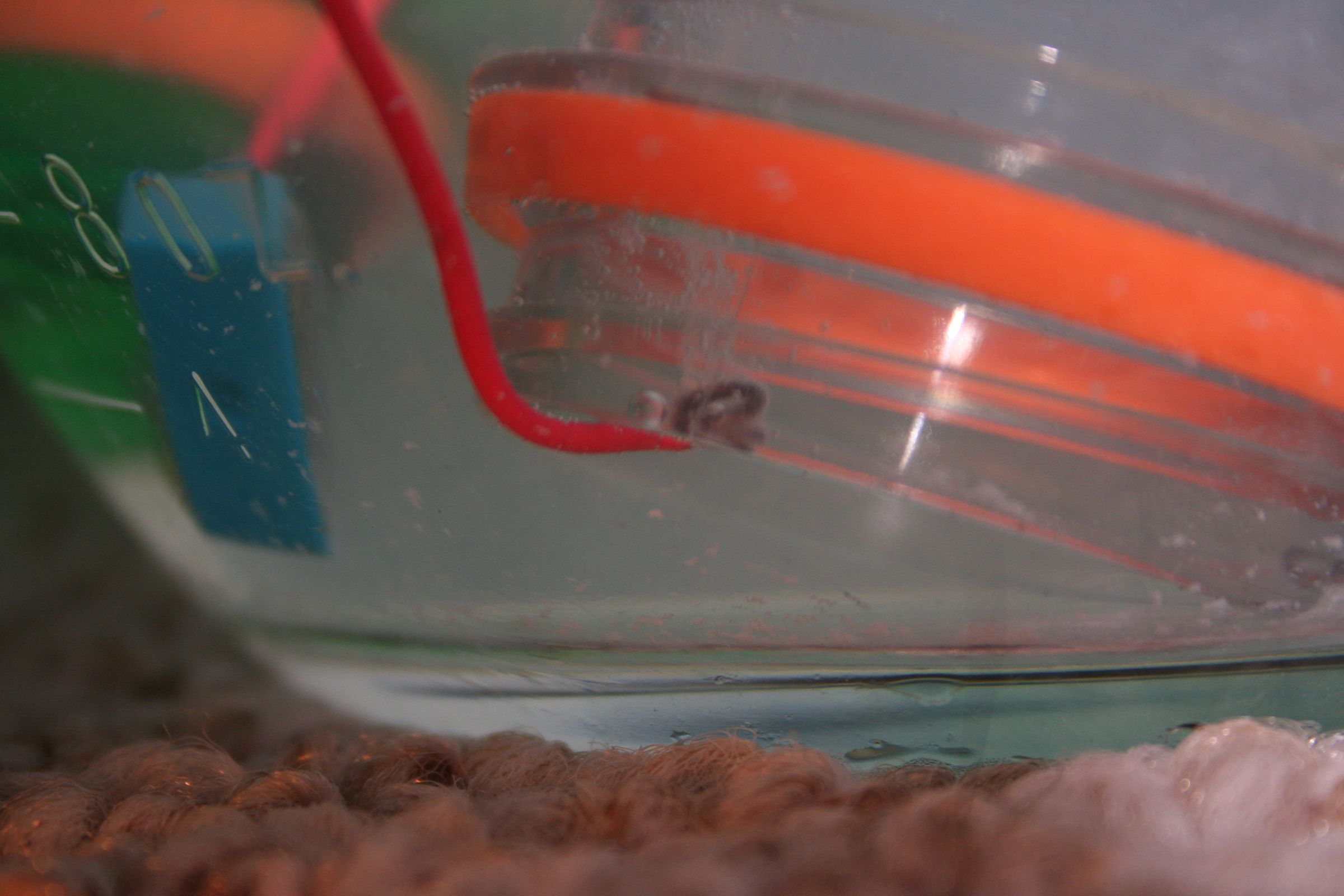 Collecting Hydrogen and Oxygen : 6 Steps - Instructables