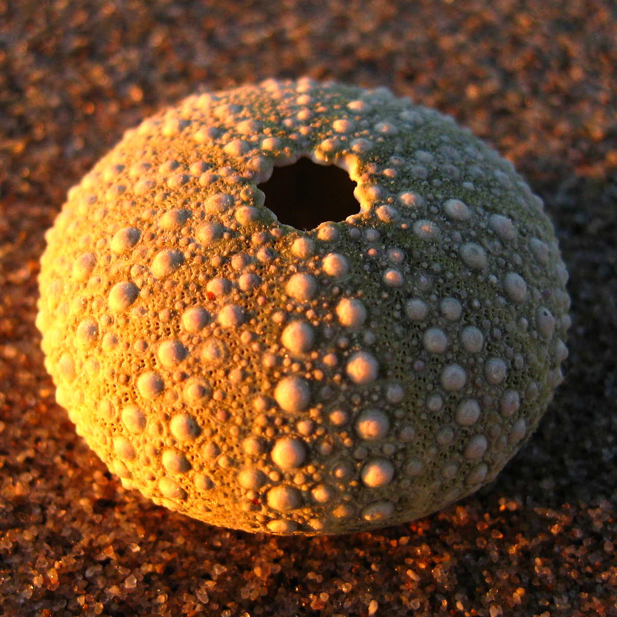 How to Draw Anything : 9 Steps - Instructables