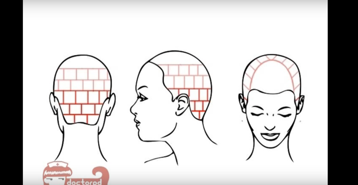 How to Section Your Hair for Braids and Dreadlocks : 3 Steps ...