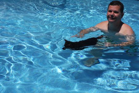 How to Teach a Cat to Swim. : 8 Steps (with Pictures) - Instructables