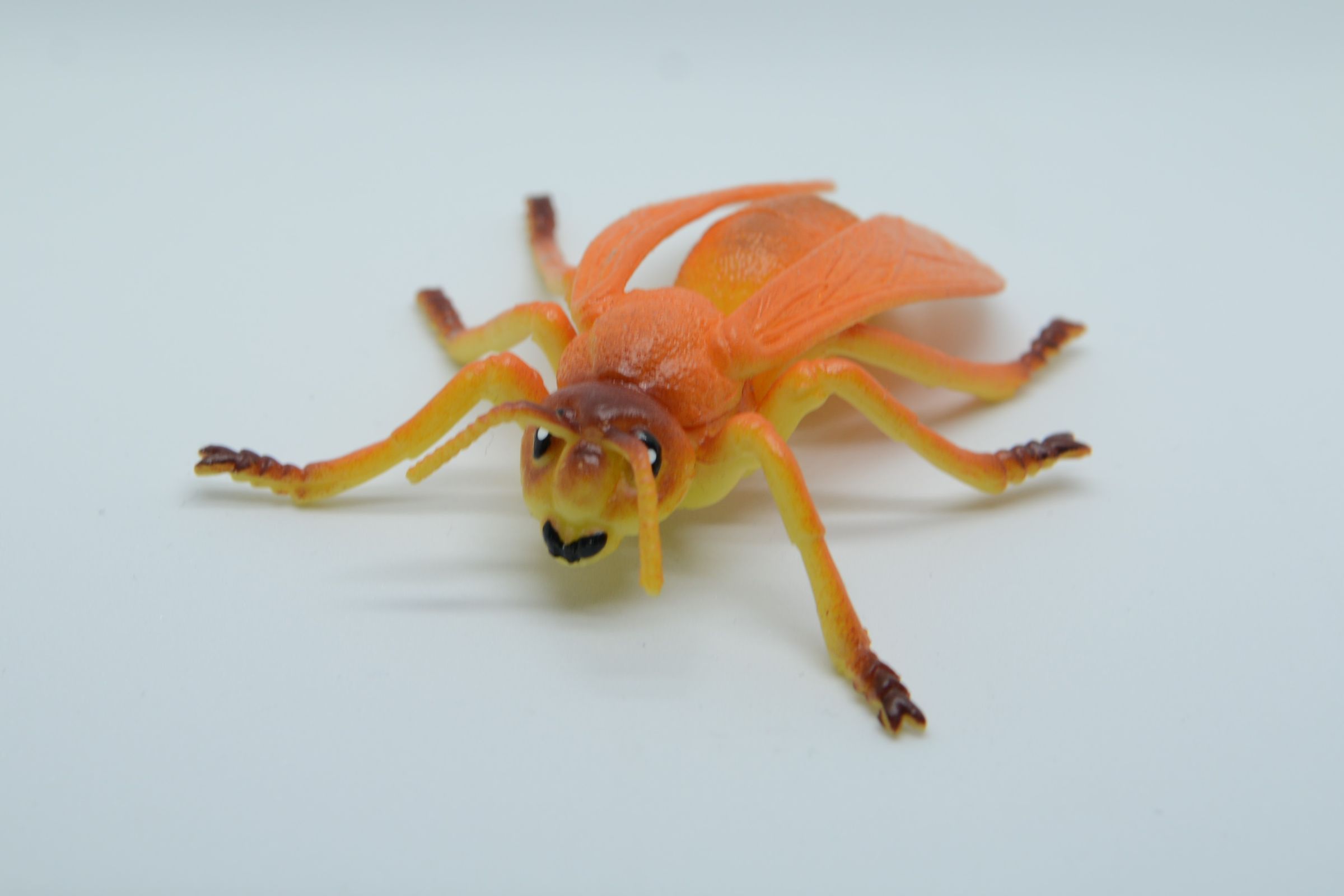 Plastic Insect/Animal Brooch : 11 Steps (with Pictures) - Instructables