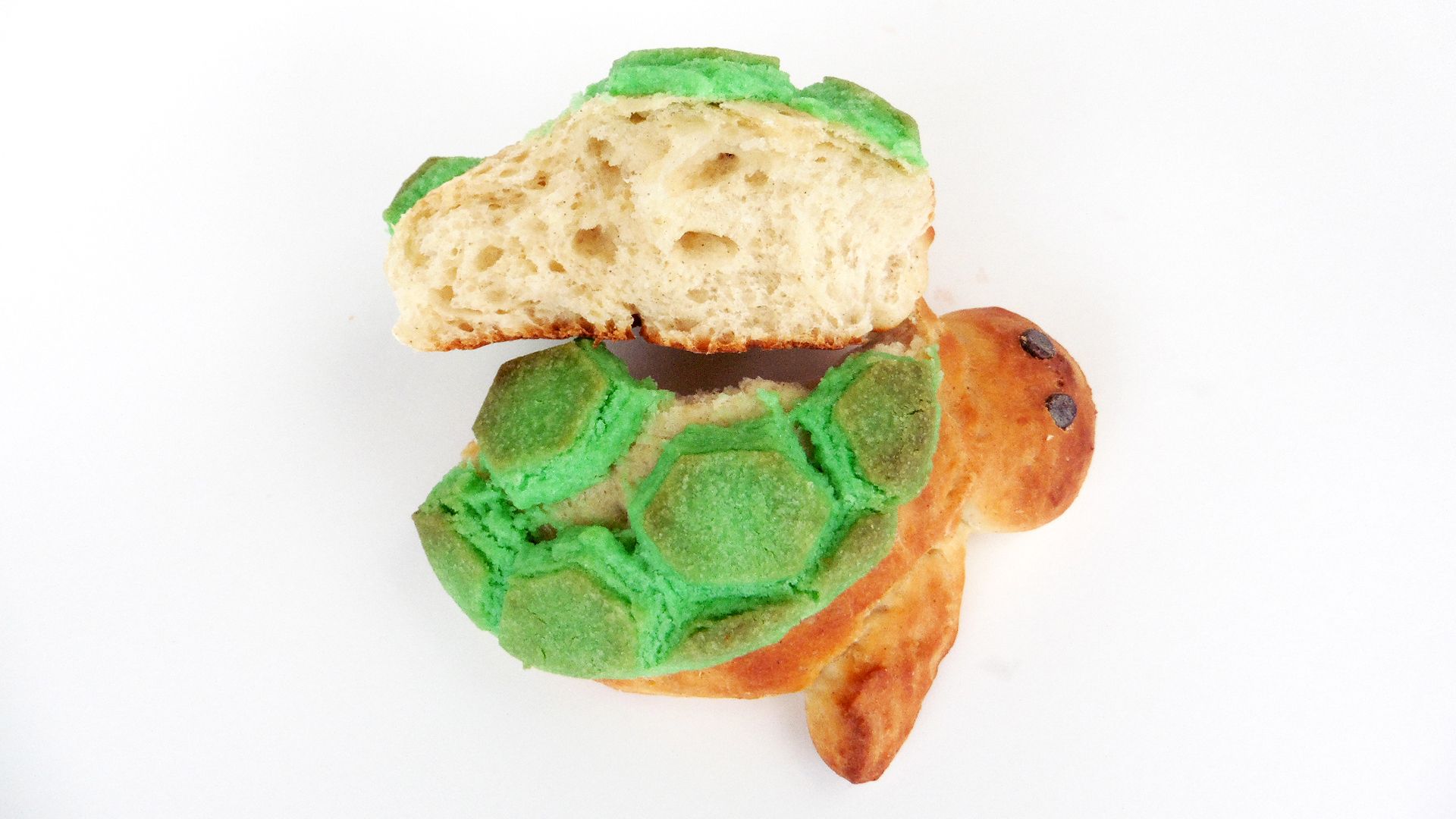 Turtle Bread: Tortuga Conchas : 6 Steps (with Pictures) - Instructables