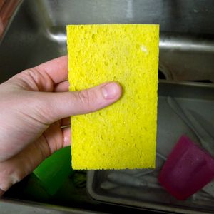 What You Never Knew About Doing the Dishes With a Sponge : 6 Steps ...
