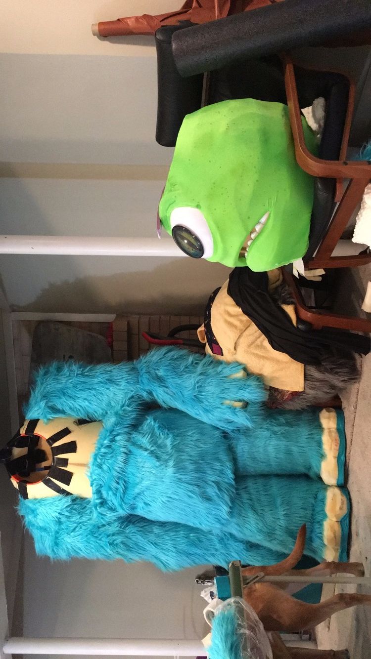 The Ultimate Sully Costume : 7 Steps (with Pictures) - Instructables