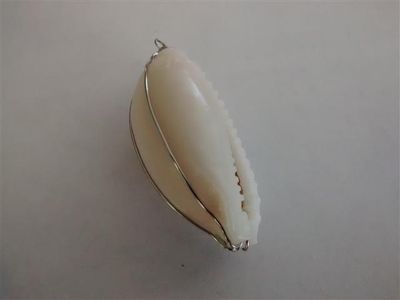Simple Wire-Wrapped Sea-Shell Pendant : 4 Steps - Instructables