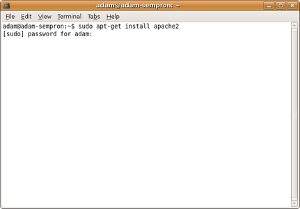 Set Up Your Very Own Web Server! : 12 Steps - Instructables