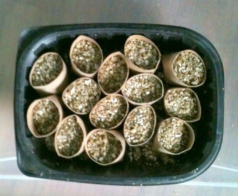 Biodegradable Toilet Paper Roll Seedling Pots : 6 Steps (with Pictures ...