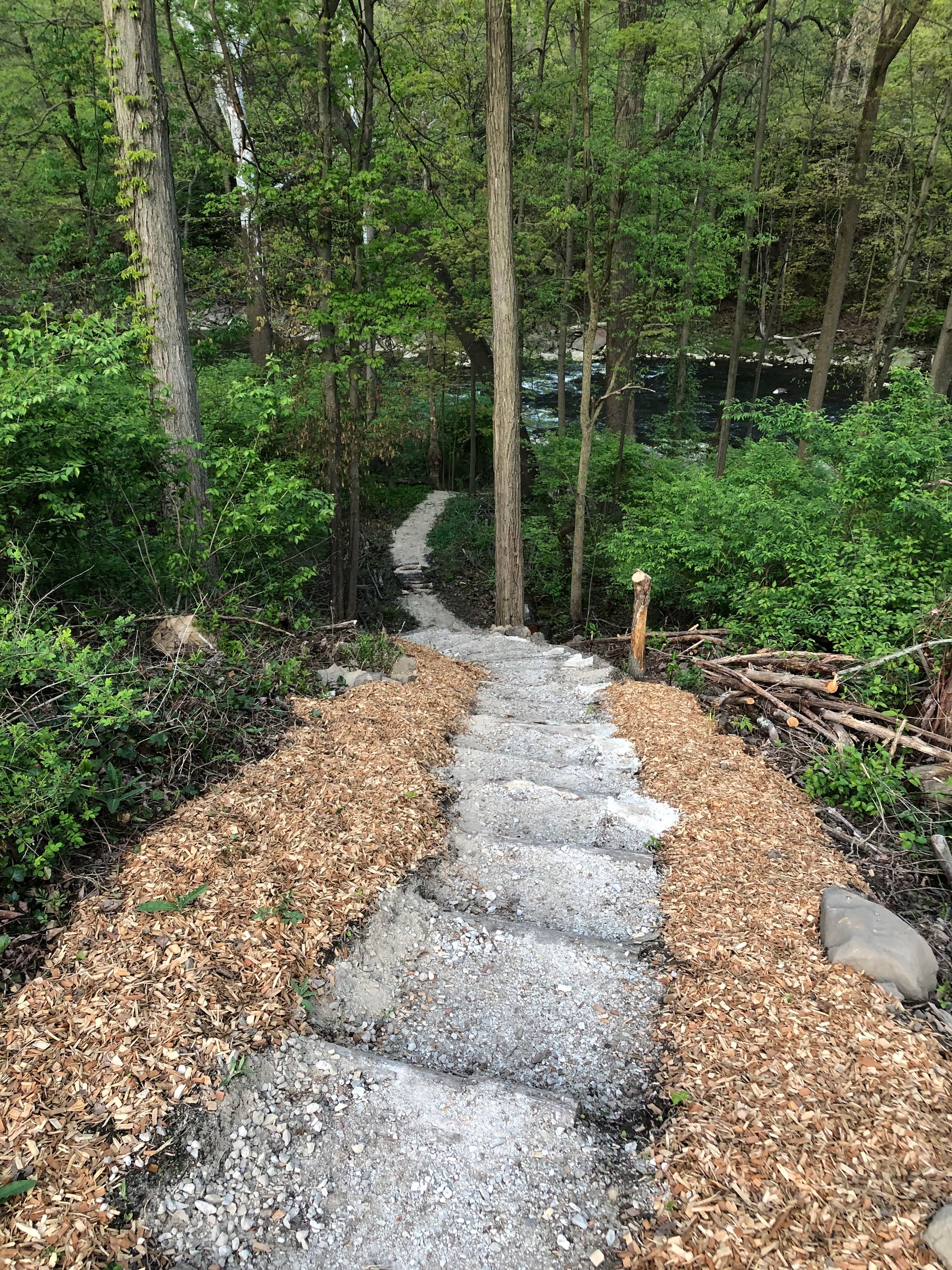 Log Path Cut Into a Hill : 5 Steps (with Pictures) - Instructables