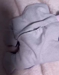 Frog Heating Pad : 8 Steps (with Pictures) - Instructables