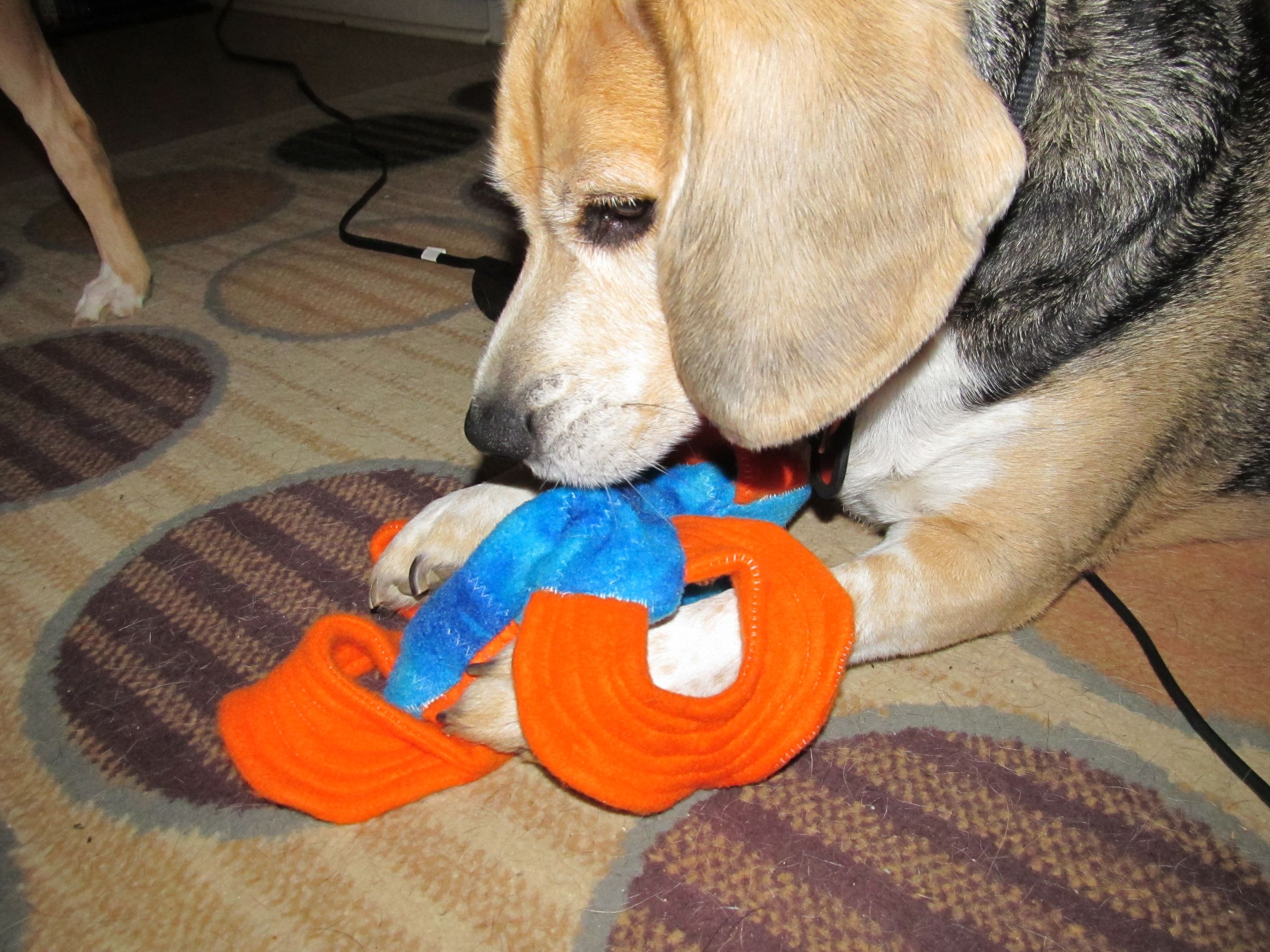 Hopefully Indestructible Stuffed Dog Toy : 6 Steps (with Pictures ...