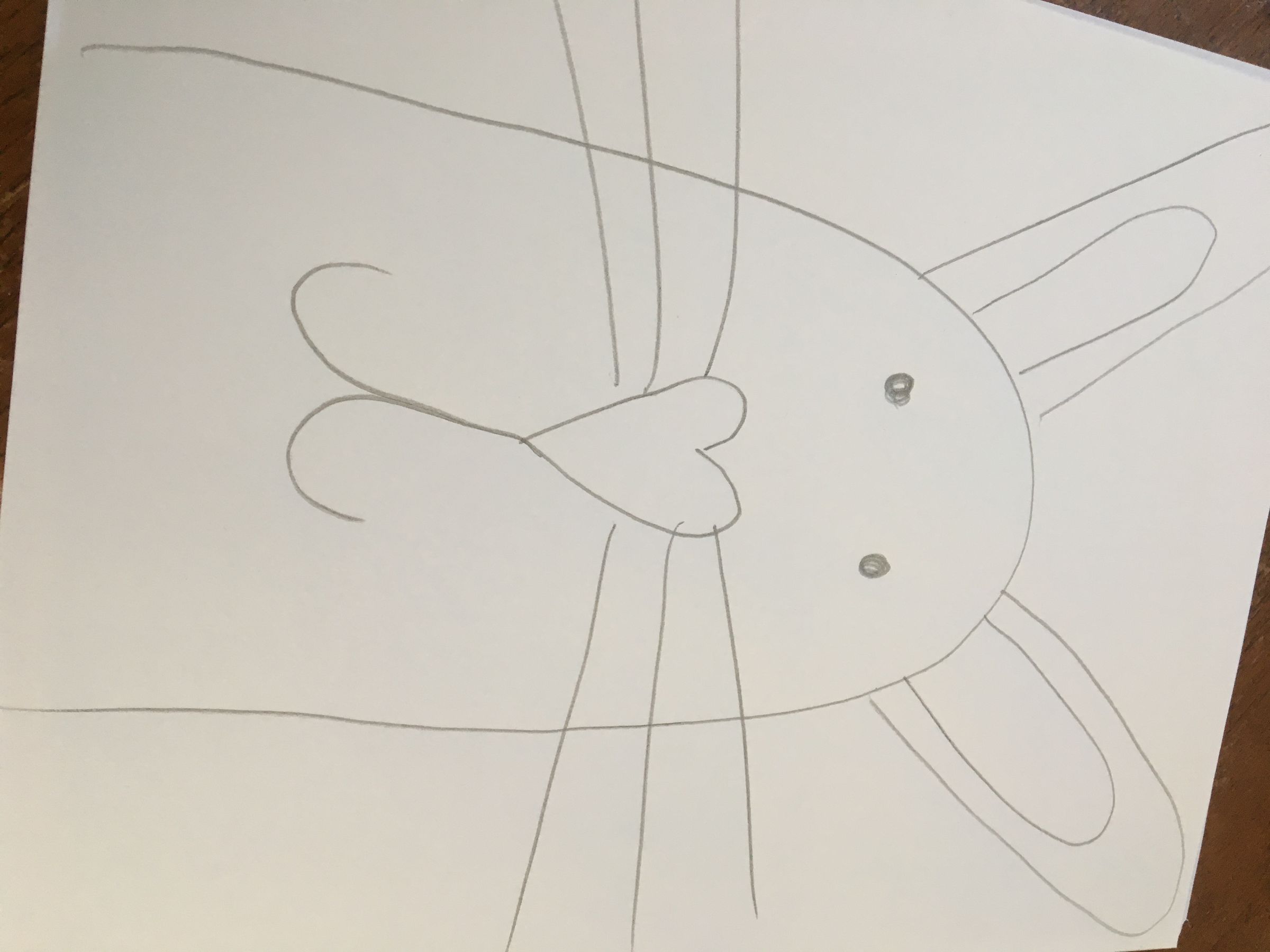 Easter Bunny Portrait - Directed Drawing for Kids : 6 Steps - Instructables