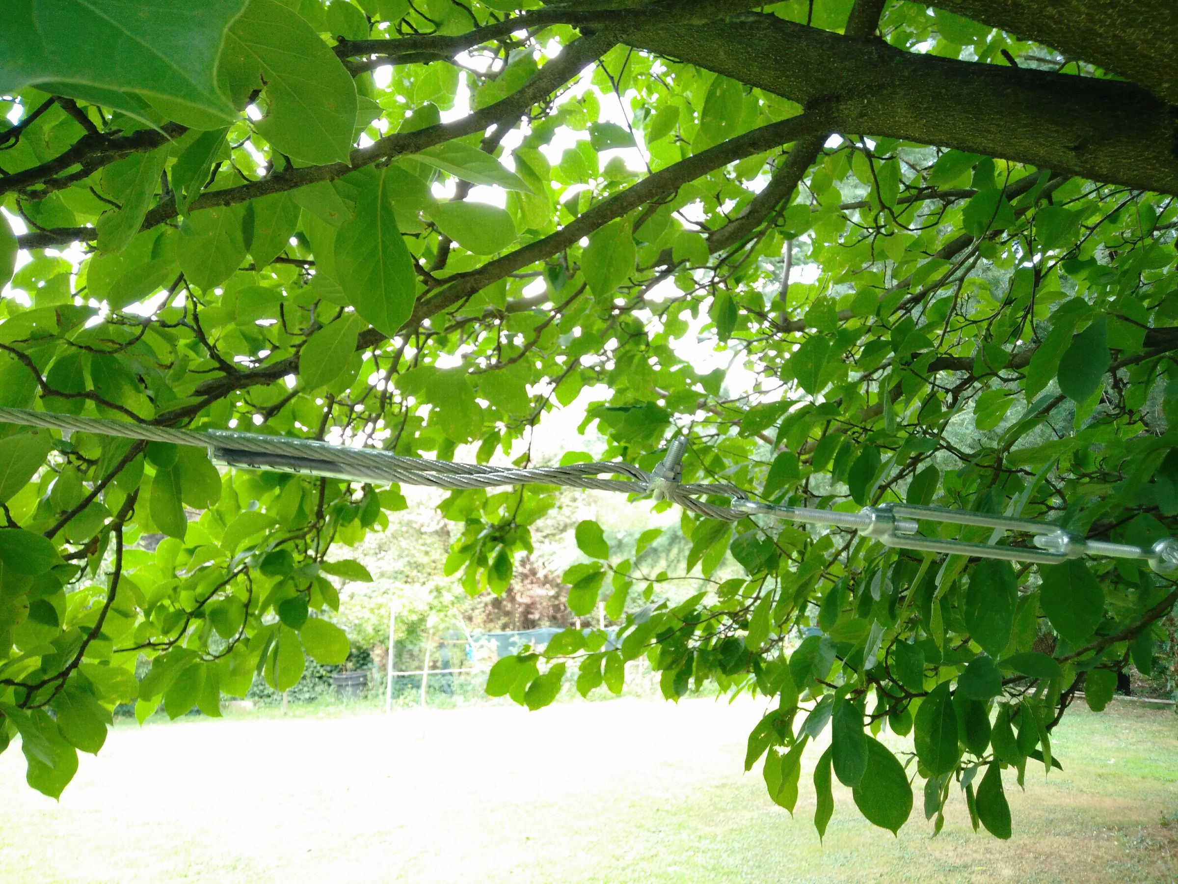 Backyard Zip Line : 11 Steps (with Pictures) - Instructables