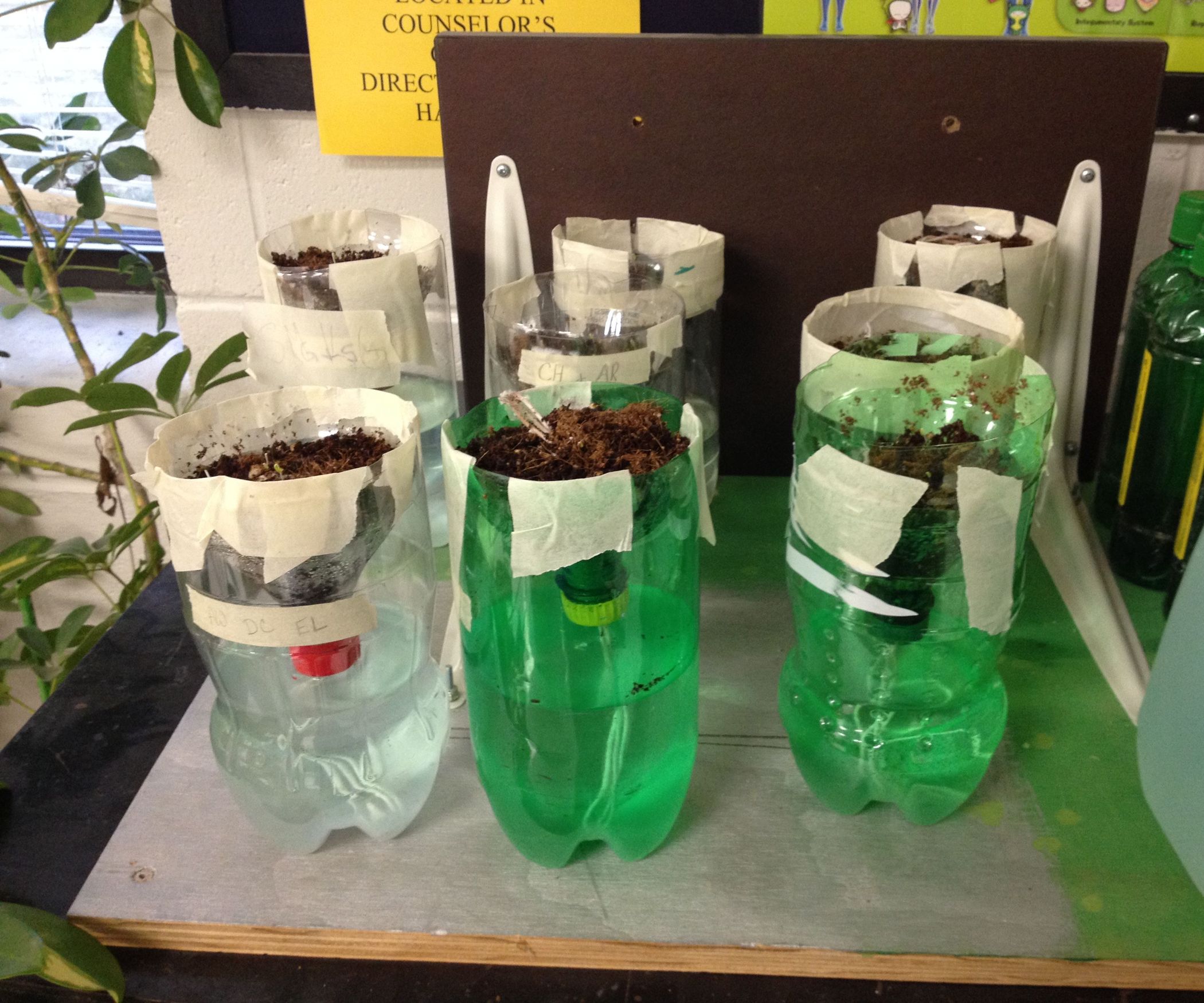 Diy Simple Hydroponics System