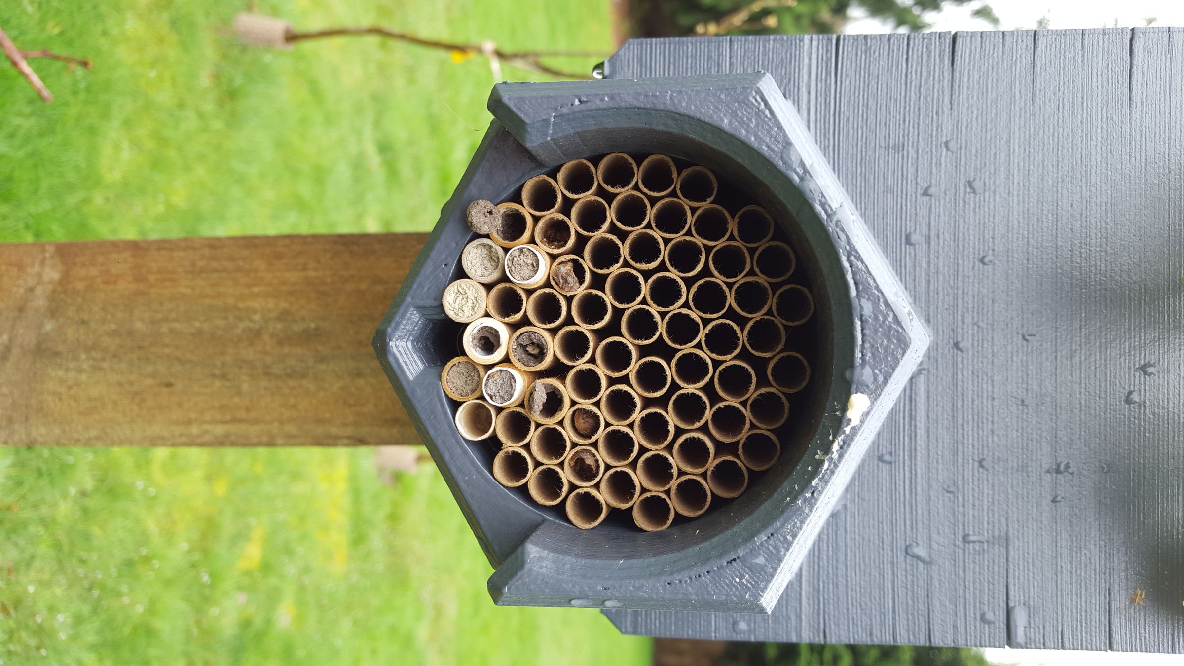 Mason Bee Hive : 3 Steps (with Pictures) - Instructables