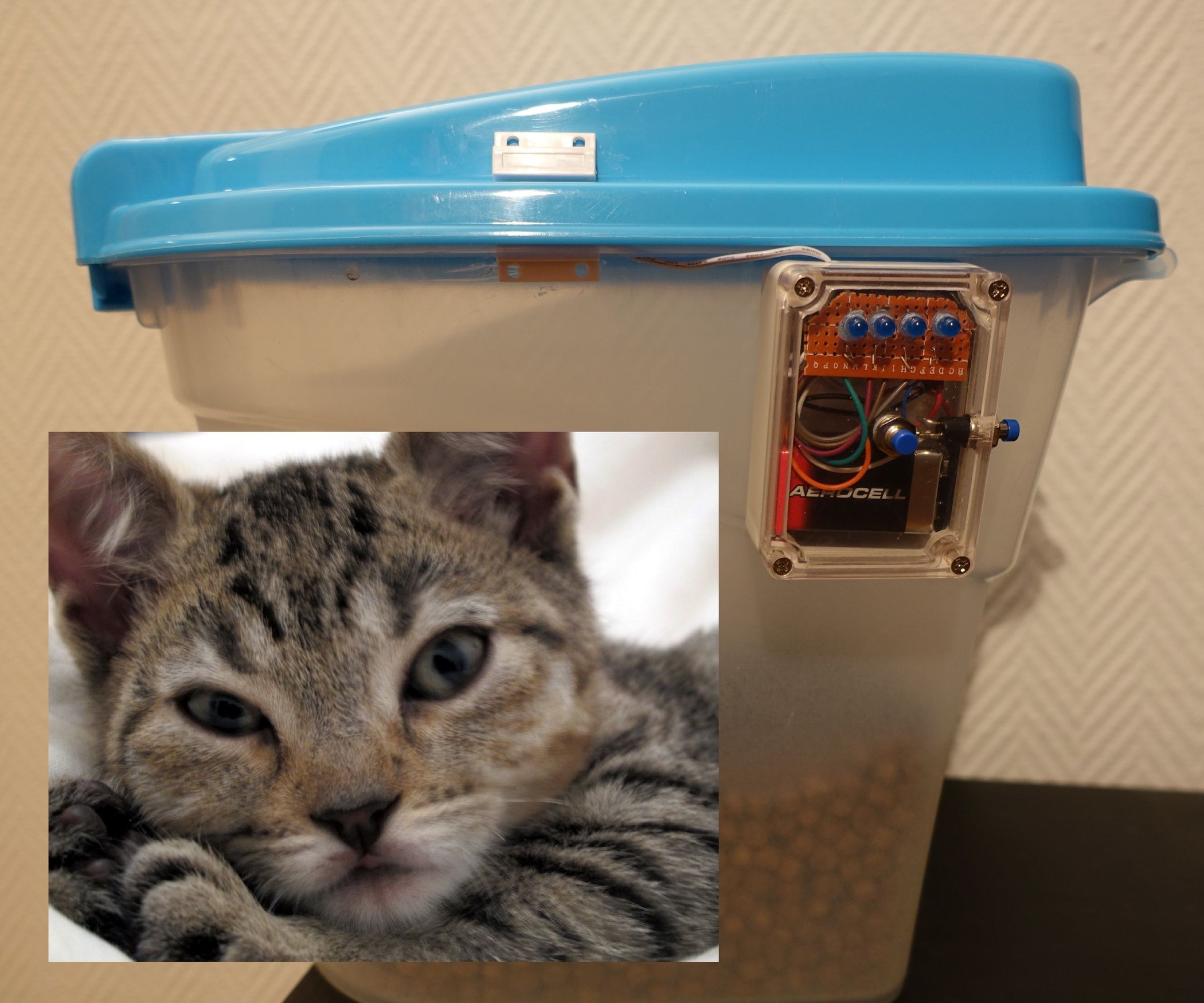 KS-Cat-Feed-Counter : 7 Steps - Instructables