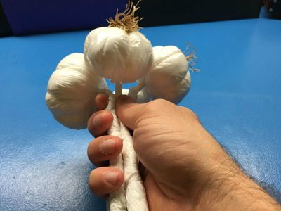How to Make Fake Garlic With Plastic Bags : 6 Steps (with Pictures ...