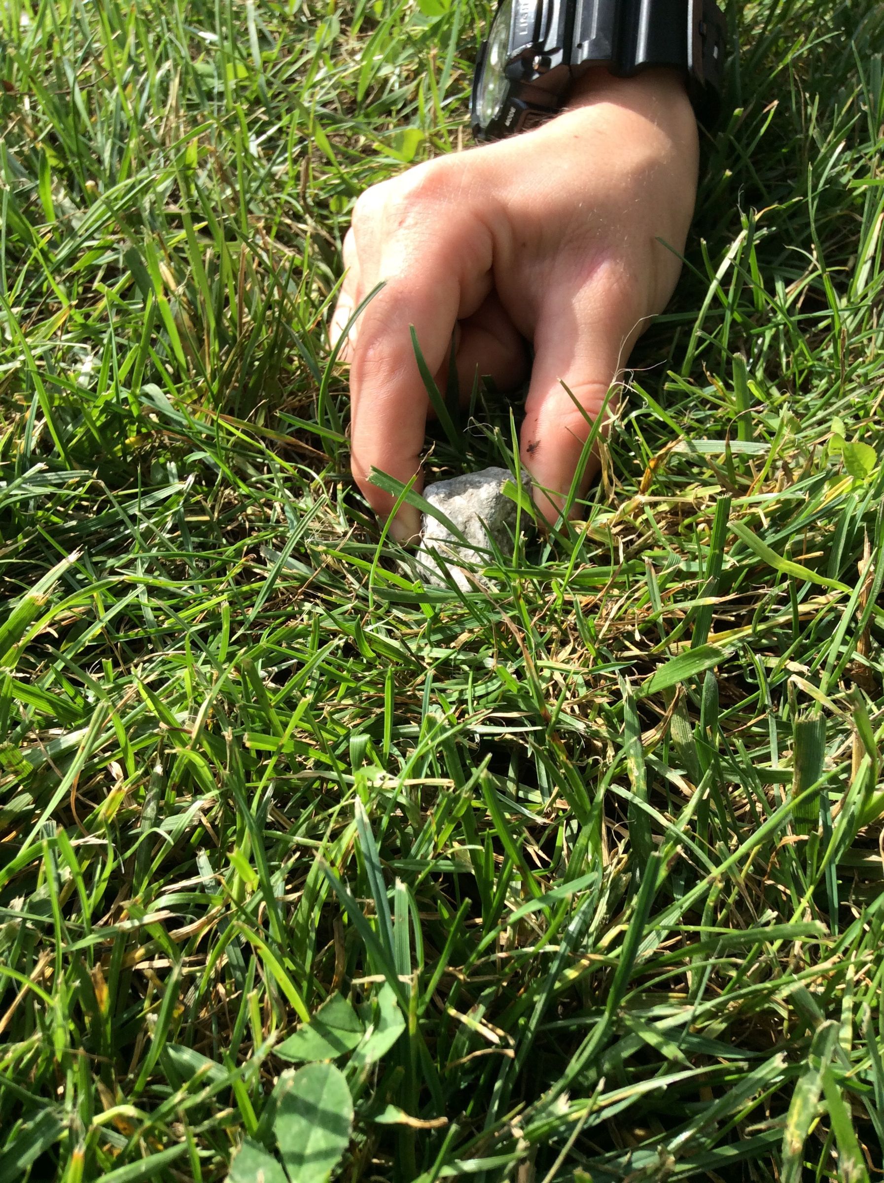 Find North With a Stick and the Sun : 6 Steps - Instructables
