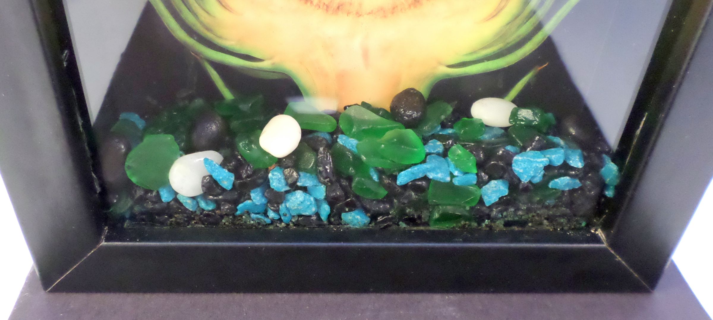 Picture Frame Terrarium : 13 Steps (with Pictures) - Instructables