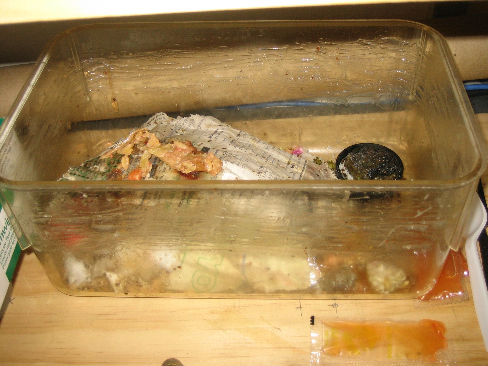 Raising Cockroaches (Intentionally) : 3 Steps - Instructables