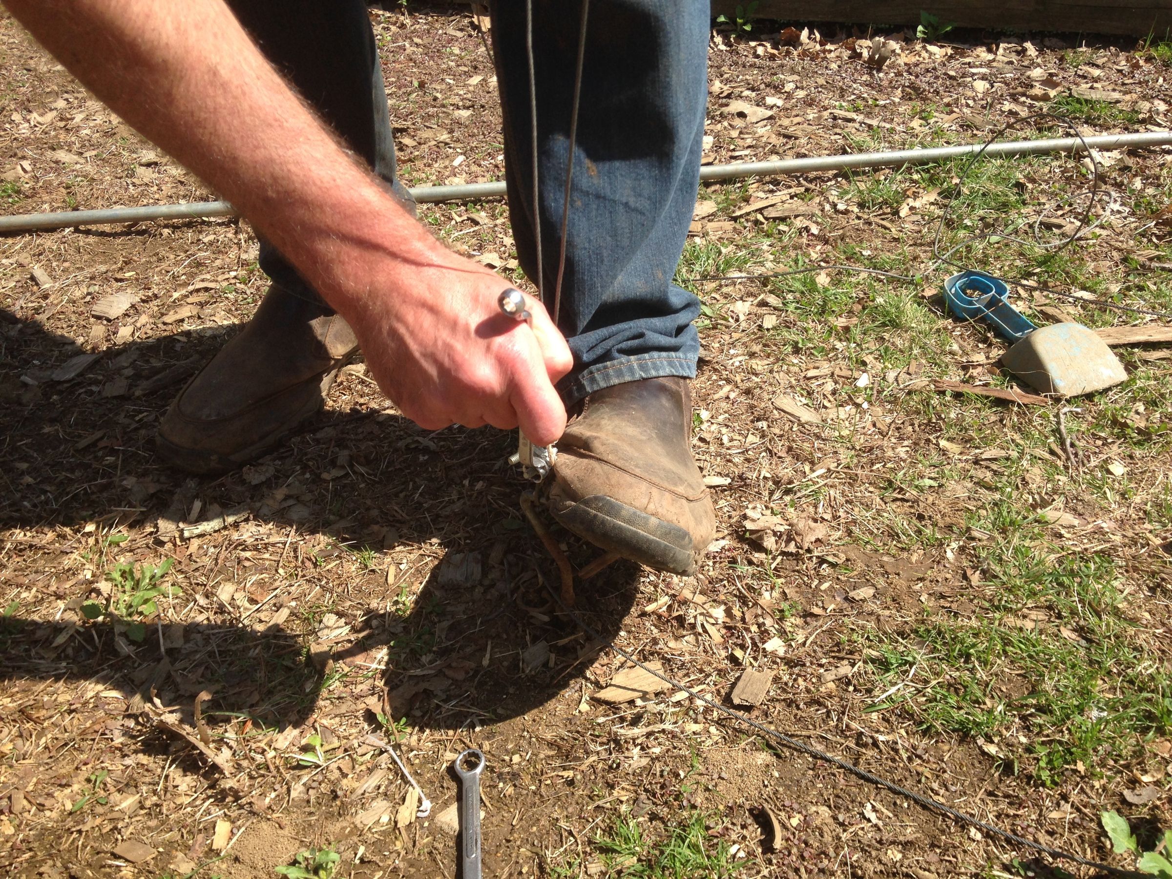 Growing Hops at Home : 9 Steps (with Pictures) - Instructables