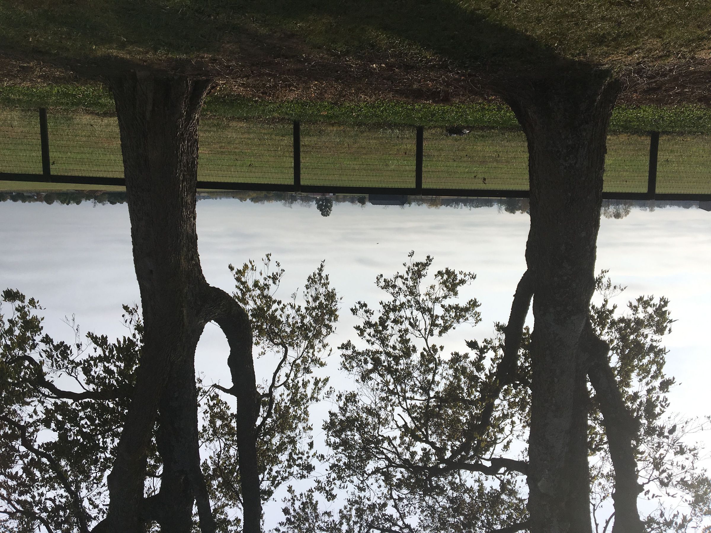 Epic Treehouse : 13 Steps (with Pictures) - Instructables