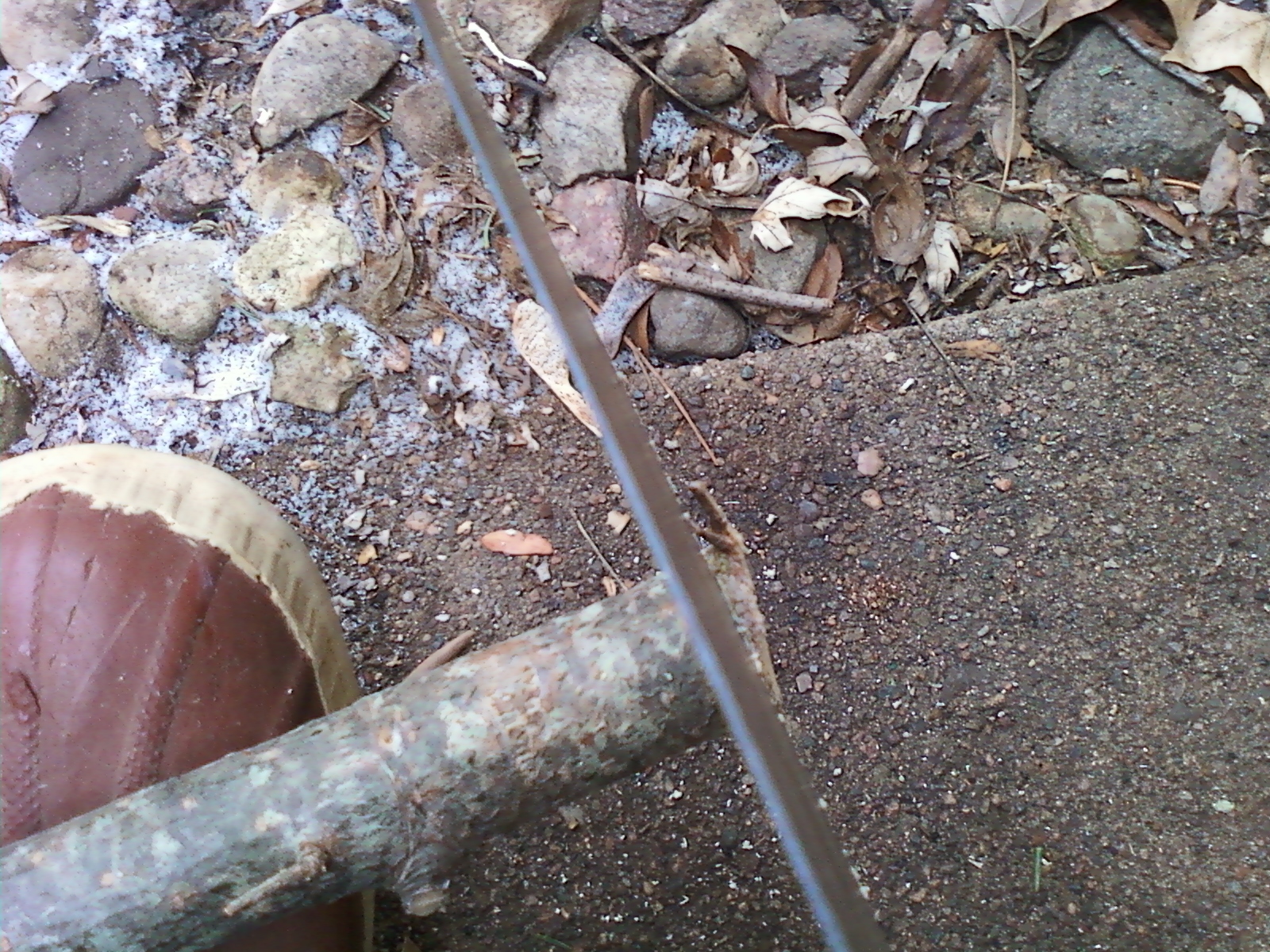 A Traditional Christmas Tree Stand in 3 Easy Steps--Charlie Brown Style ...