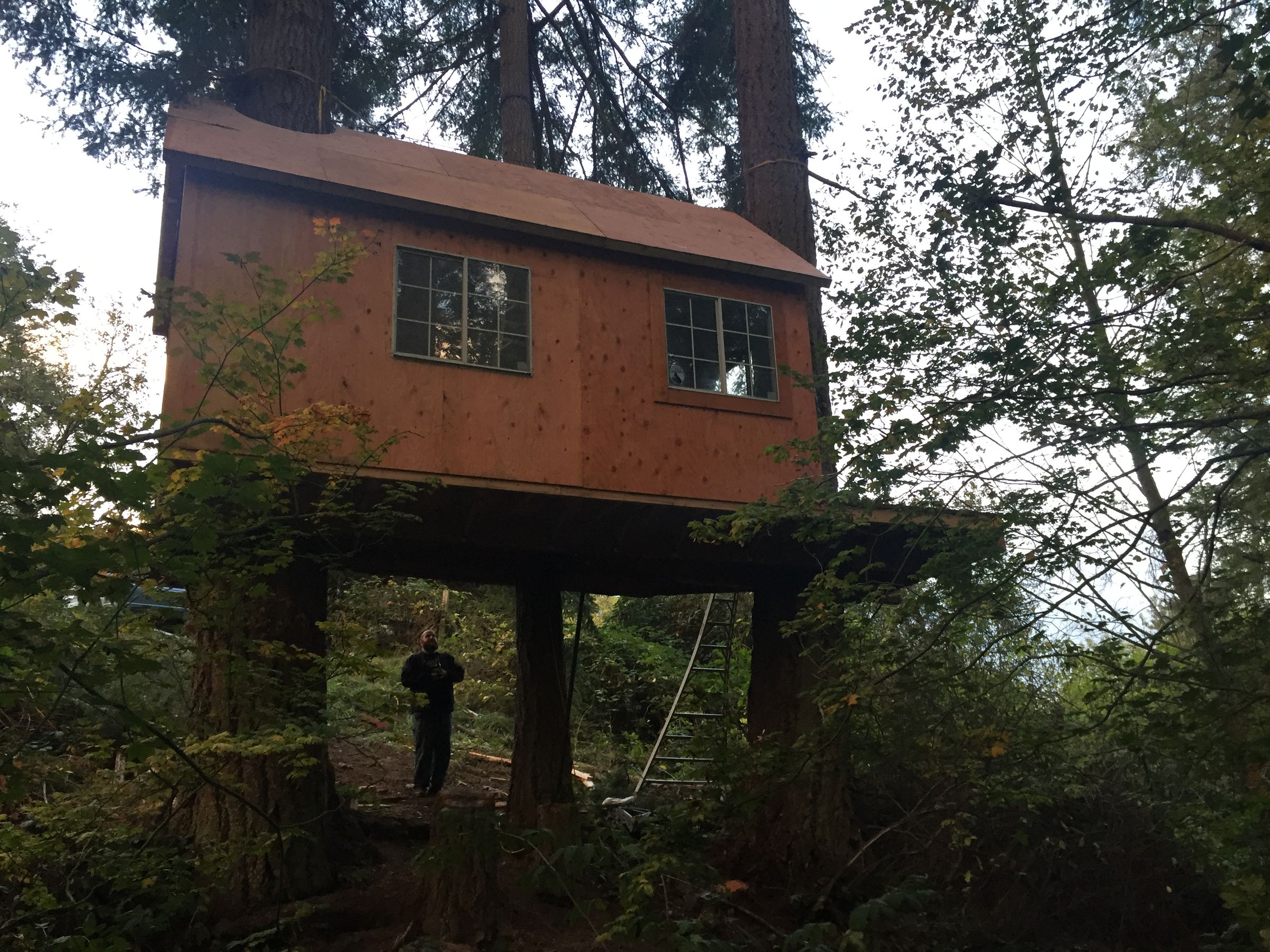 Treehouse Build : 10 Steps (with Pictures) - Instructables