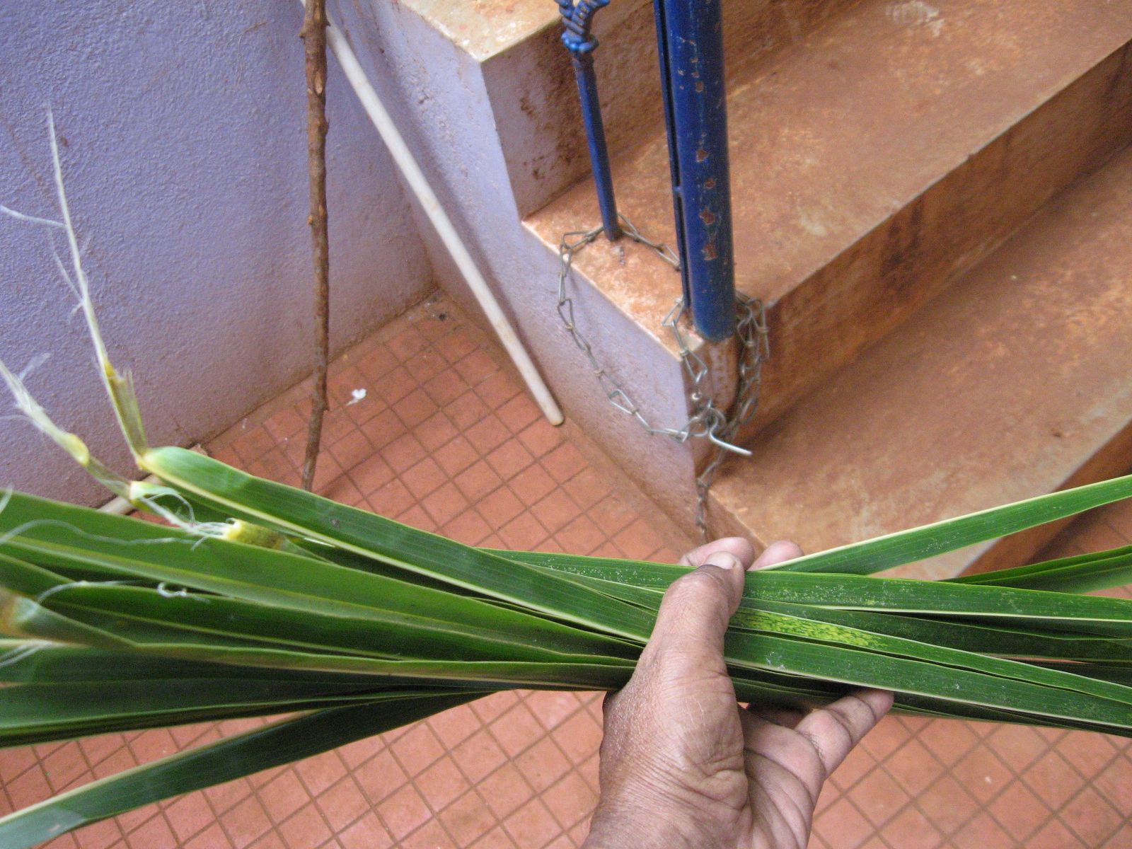 How to Weave a Small Mat From Coconut Leaves : 4 Steps (with Pictures ...
